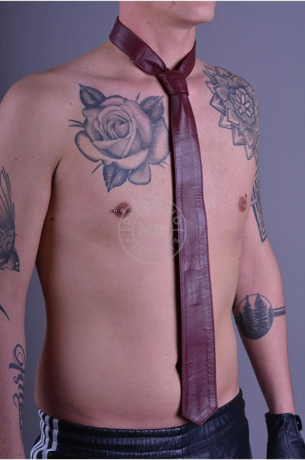 MR. RIEGILLIO — SexyMenUnderwear.com